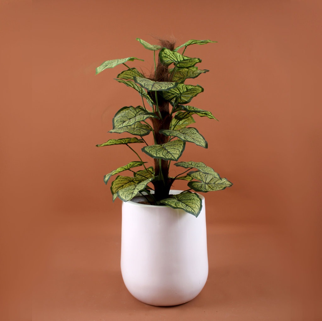Tear Drop Fiberglass Planter/Pot