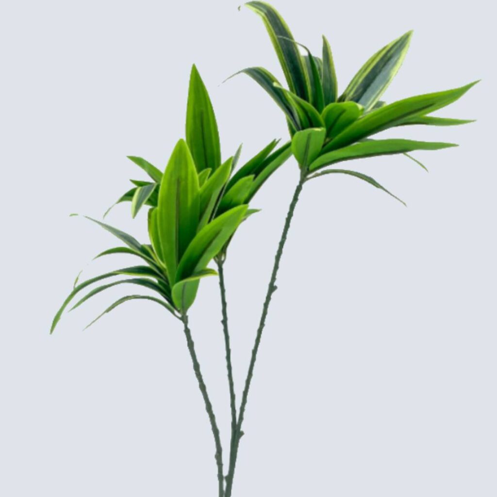 Justplanters